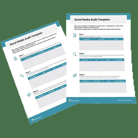 Social Media Audit Template Bizomatic