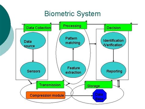 Geometric Algorithms In Biometrics Theory And Recent Developments