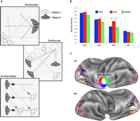 Multivariate Classification Results A Schematic Illustration Of The Download Scientific