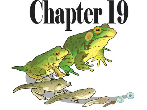 Biology Chapter 19 Class 12 Short Questions Ahsa Pk
