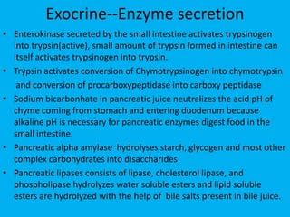 Digestive System Pptx