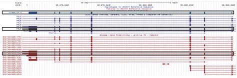 Genome Browsing And Visualization Ucsc Griffith Lab