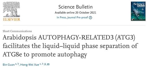 上海交大薛红卫教授课题组揭示相分离参与调控细胞自噬的分子机制 交大智慧 上海交通大学新闻学术网