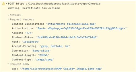 Post Request Works In Postman But Not On Localhost New To Apis