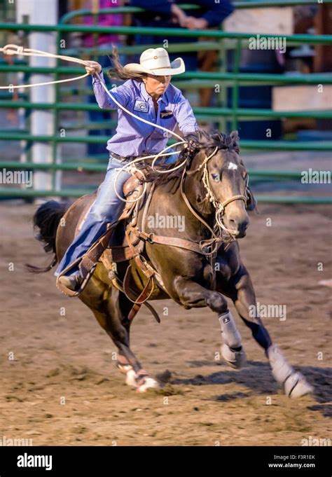 Rodeo Cowgirl On Horseback Competing In Calf Roping Or Tie Down Roping