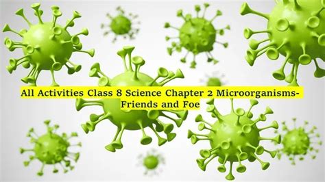 All Activities Class 8 Science Chapter 2 Remedial Classes
