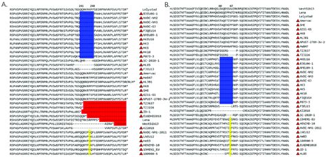 Alignment Of Gp3 And Gp4 Protein Aa Sequences Of Chinese Prrsv 1