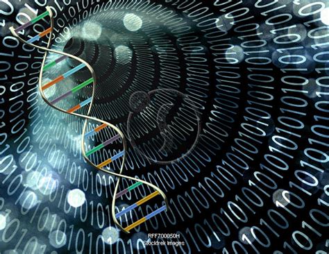 Binary Tunnel And DNA Strand Stocktrek Images