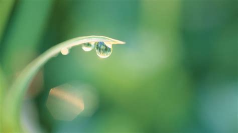 Mac Os X 系统 高清壁纸 二 17 1920x1080 壁纸下载 Mac Os X 系统 高清壁纸 二 系统壁纸 V3壁纸站