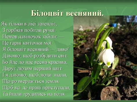Первоцвіти просять захисту презентация онлайн Первоцвіти просять захисту презентация онлайн