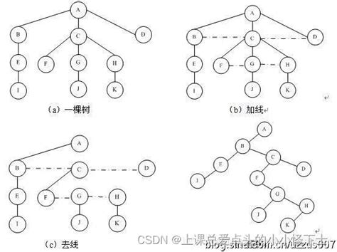 Swust Oj982 输出利用二叉树存储的普通树的度swust Oj 输出利用二叉树存储的普通树的度 Csdn博客