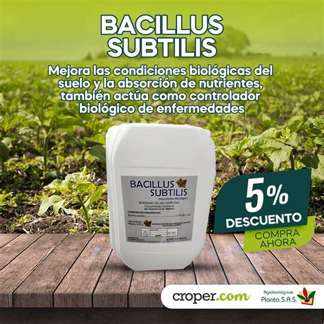 Bacillus Subtilis Control Biológico 1 Lts Croper