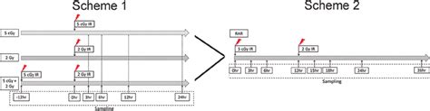 The Microarray Analysis Timeline Download Scientific Diagram