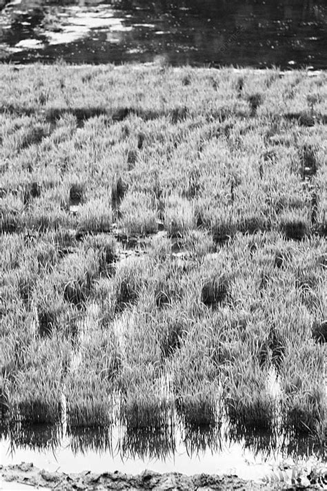 흐림 사진 배경 및 무료 다운로드를위한 그림 Pngtree