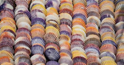 A Practical Shell Scripting Introduction For Javascript Engineers K