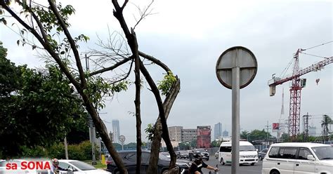 Gorio Bituin Sa Sona