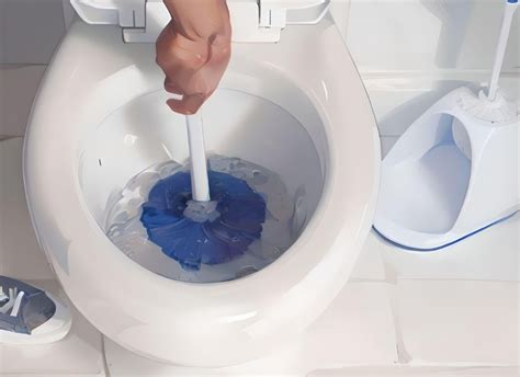 მეზობელს ვკითხე რატომ ყრის 1 ჭიქა მარილს უნიტაზში ახლა ყოველდღე ასე ვაკეთებ რჩევები ვივიენისგან