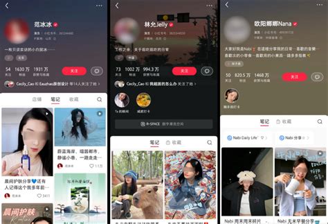 抖音小红书再无顶流？ 广告狂人