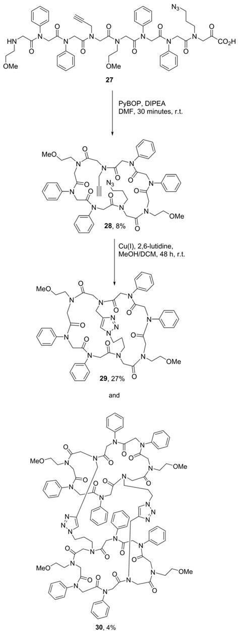 Recent Advances In The Synthesis Of Peptoid Macrocycles Webster