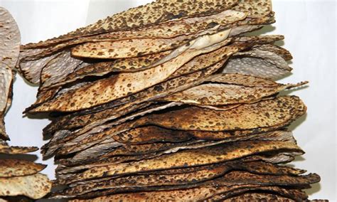 Песах и еврейская маца. Выпечка ручной мацы — Авраам Коен | Выпечка ...