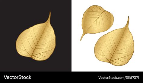 Bo Leaf Golden Royalty Free Vector Image Vectorstock