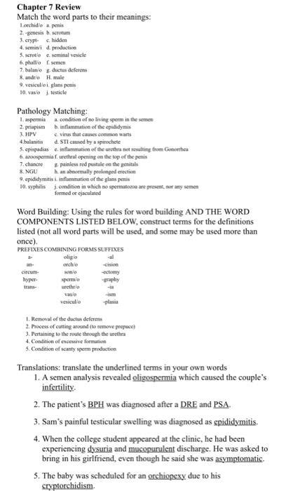 Solved Chapter 7 Review Match The Word Parts To Their