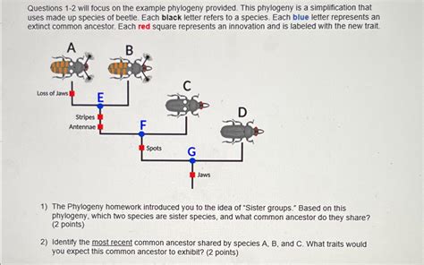 Solved Questions 1 2 ﻿will Focus On The Example Phylogeny