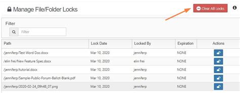 managing user locks filecloud docs server