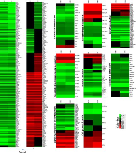 heat map analysis of host a549 human lung epithelial cell