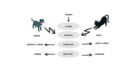 ¿qué Es La Programación Orientada A Objetos Y Para Qué Sirve
