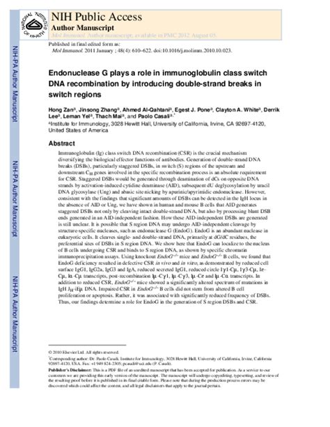 Pdf Endonuclease G Plays A Role In Immunoglobulin Class Switch Dna Recombination By