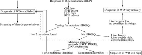 An Algorithm For The Diagnosis Of Wilson Disease Wd Download Scientific Diagram