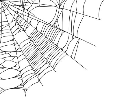 Spider Web Parts 12649624 Vector Art At Vecteezy