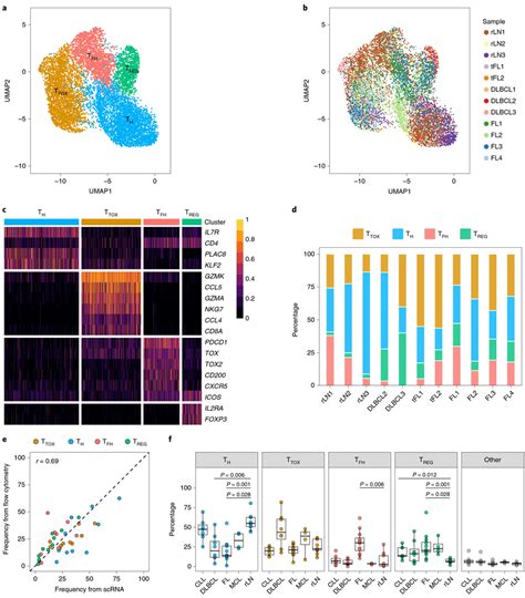 Transcriptional Heterogeneity Of Lymph Node Derived T Cells Ab T
