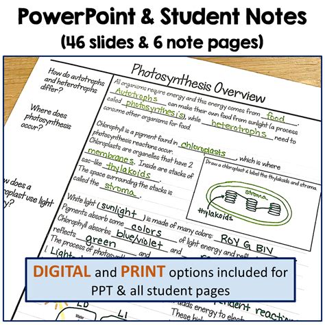 Unit 4 Atp Photosynthesis And Cellular Respiration Suburban Science