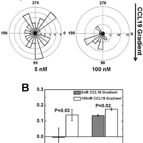 T Cell Migration In A Gradient Or A Uniform Field Of Ccl21 A Download Scientific Diagram