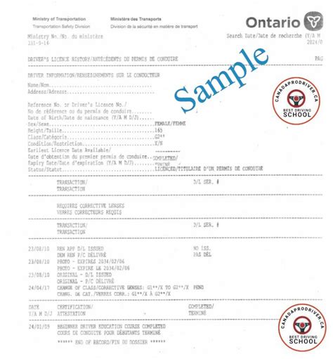 Beginner Driver Course Certificate Best Driving School