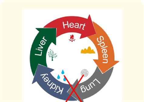 Generation Cycle Of Five Elements Download Scientific Diagram