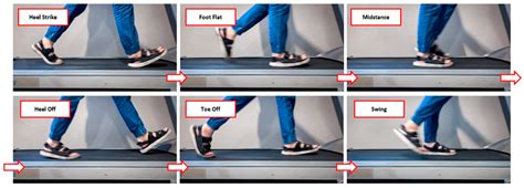Sensors Free Full Text Real Time Gait Phase Detection Using Wearable Sensors For Transtibial