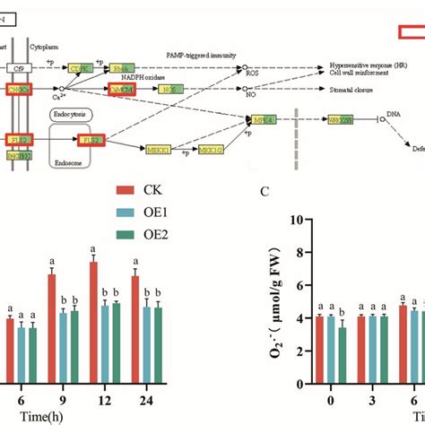 Differential Gene Expression In The Plant Pathogen Interaction Pathway Download Scientific