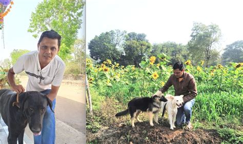 sajid shaikh pmp itil cbcp on linkedin worklifebalance