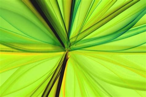 Master Form 1120 Schedule O Your Complete Guide