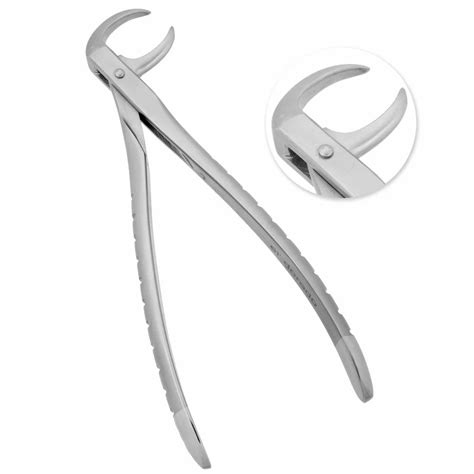Stainless Steel Premium Extraction Forcep No 74 At ₹ 1200 Piece In New