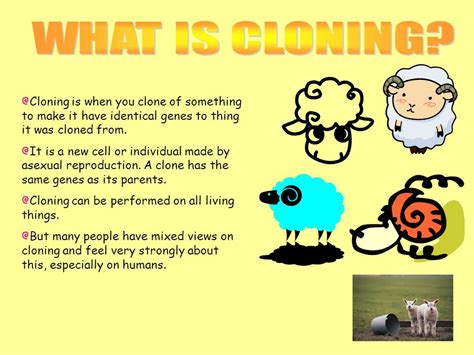 Against Cloning