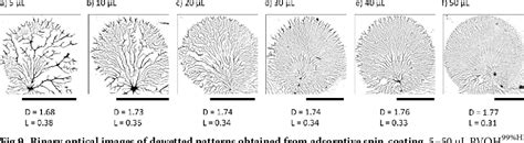 Figure 1 From A Triangular Model Of Fractal Growth With Application To Adsorptive Spin Coating