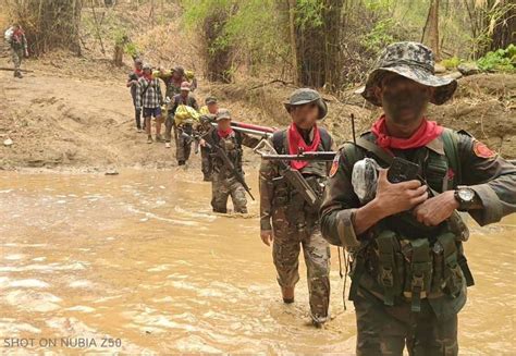 Khit Thit Media ရွှေဘိုမြို့နယ်ရှိ တည်သီးတော၊