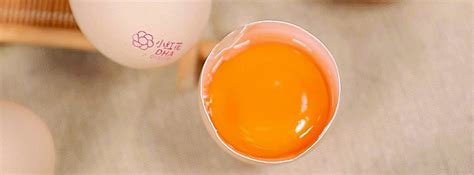 啄米生物丨补充dha，首选dha鸡蛋，为你和家人的营养健康加分！ Dha鸡蛋 藻源dha鸡蛋 蛋黄金 品牌蛋 鸡蛋品牌运营 鸡蛋品牌化 蛋品质量提升 蛋鸡养殖 蛋鸡饲料添加剂 湖南啄米生物技术有限公司