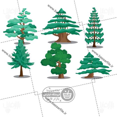 وکتور درخت سرو وکتور Eps درخت سرو