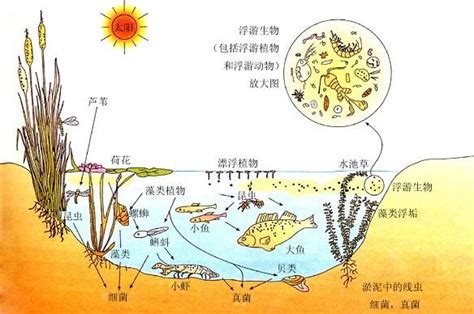 什么是生态圈？传统行业玩不来的时髦玩意！ 知乎