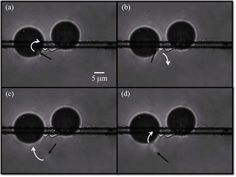 Axial Rotation Of The Probe Signifying Three Dimensional Vortices Download Scientific Diagram